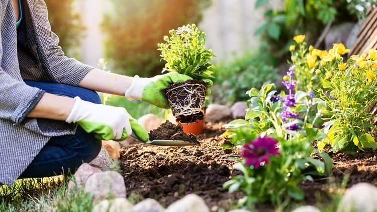 Grief Rituals and Why We Need Them | The Table by Harry & David