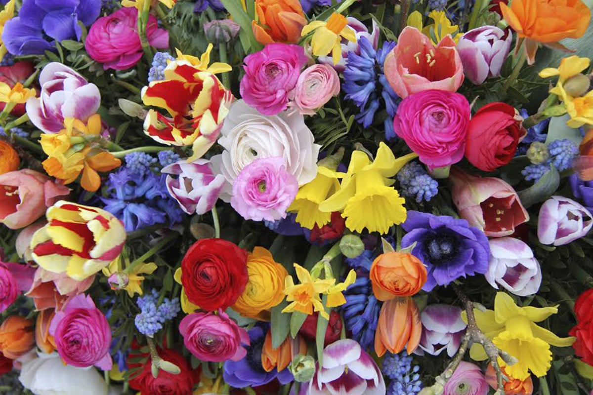 State Flowers: Symbols Across America | Petal Talk