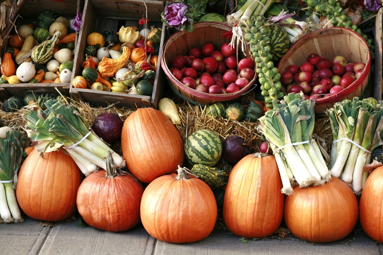 Nutritious Fall Fruits and Vegetables | Berry Chatty