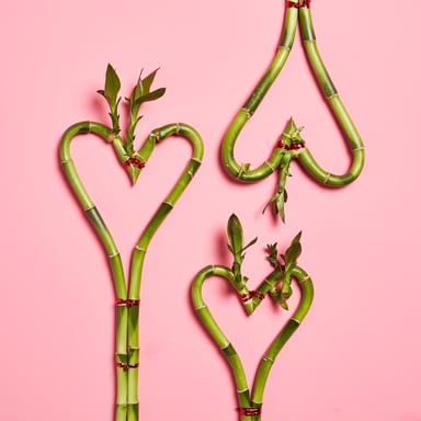 Origins & Meanings of Valentine's Day Symbols | Petal Talk