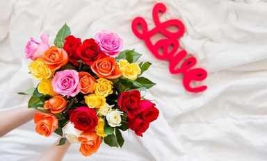 June Birth Flowers: The Rose and Honeysuckle | Petal Talk