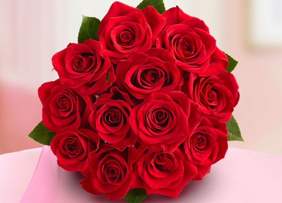 Flower Color Meaning Significance of Flower Colors Petal Talk