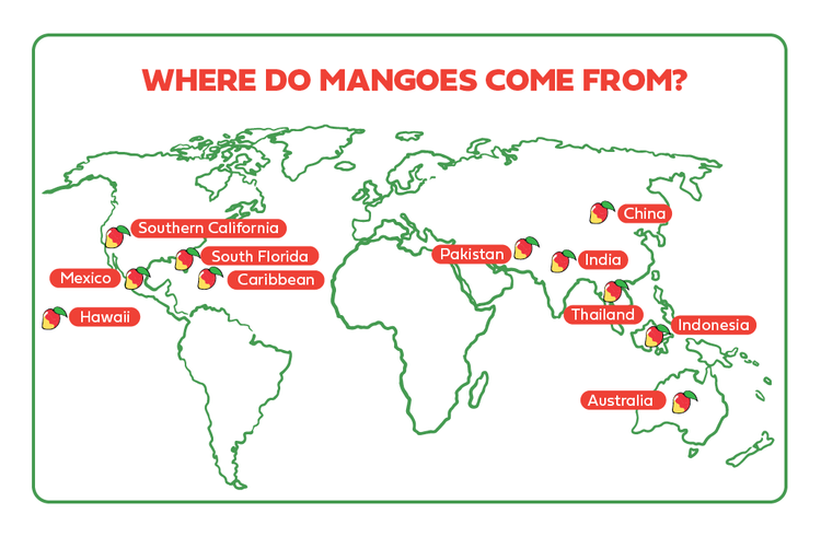 Guide to Mangoes | The Table by Harry & David