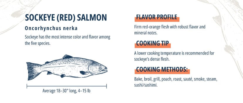Get to Know the 5 Types of Salmon | Vital Choice