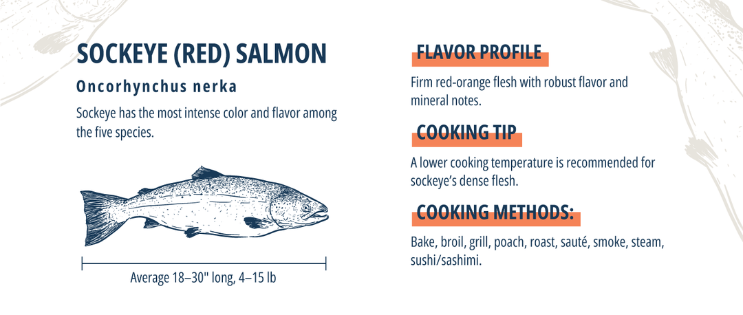 Atlantic Salmon vs Pacific Salmon: What's the Difference? | Vital Choice