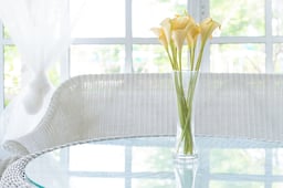 How to Clean Glass Vases | Petal Talk