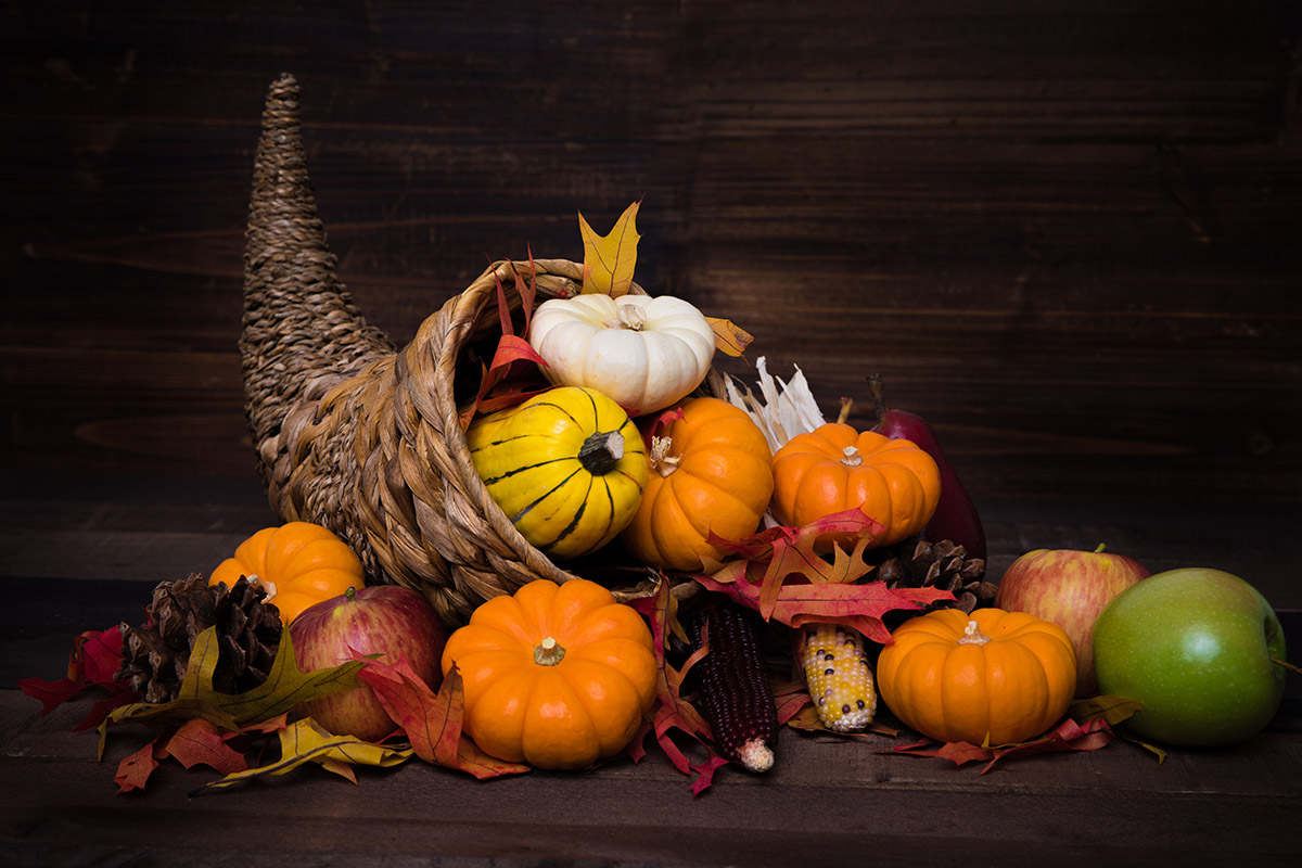 Cornucopia Meaning: History & Origins | Petal Talk