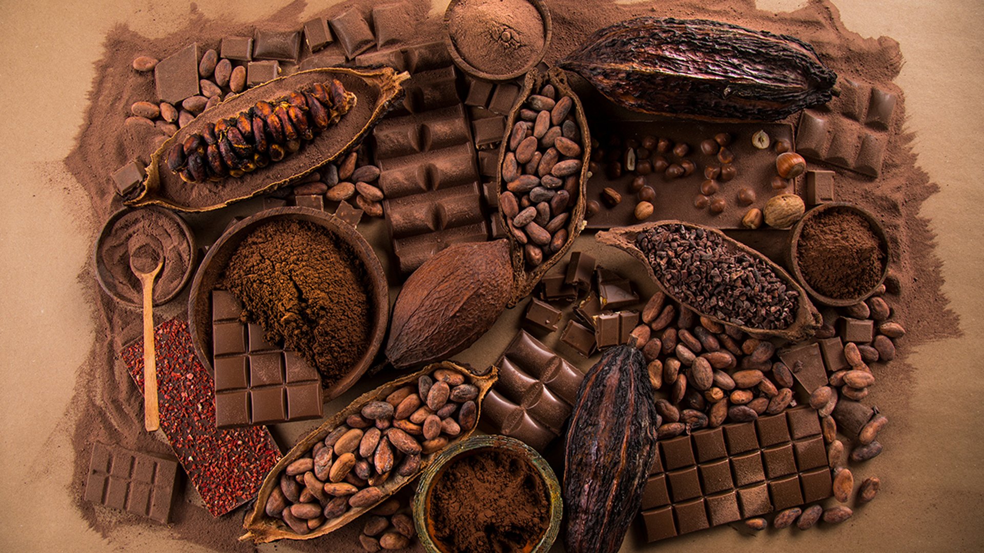 Types of Chocolate | The Table by Harry & David