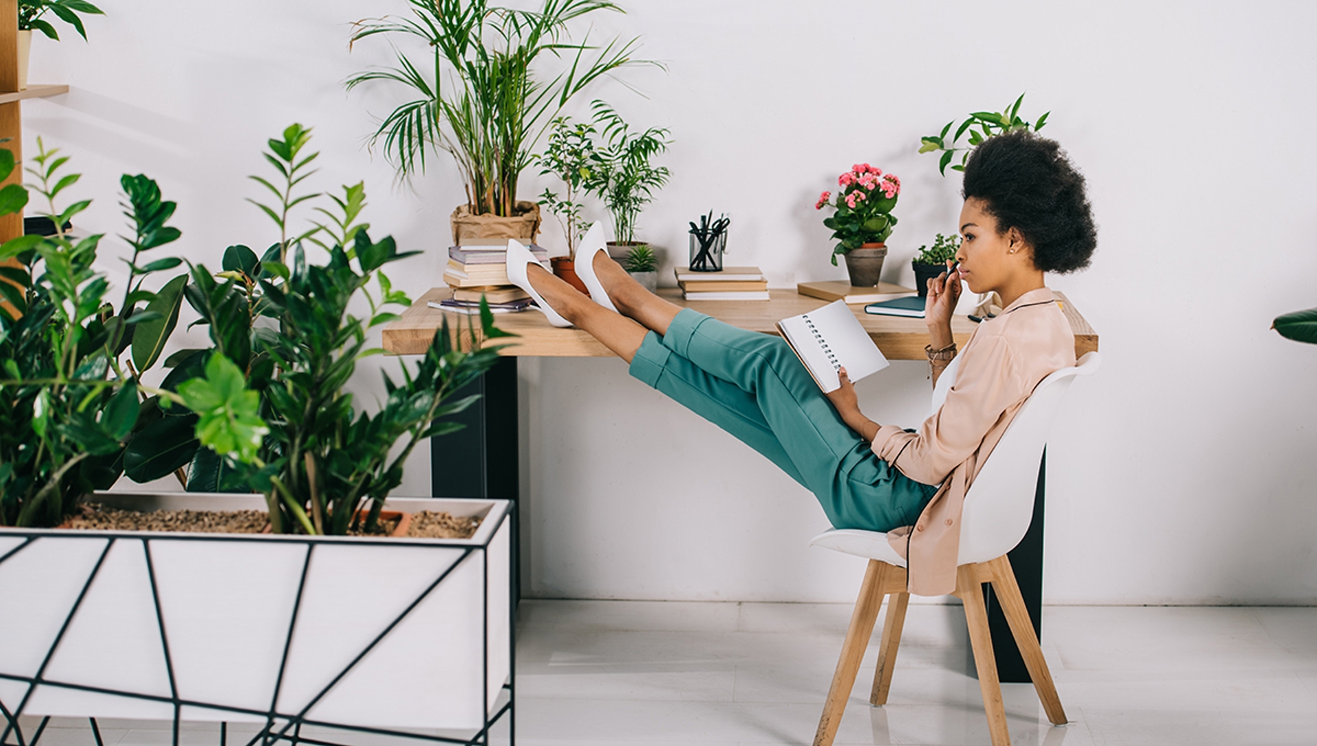 7 Best Office Plants for Your Desk %%page%% | %%sitename%%