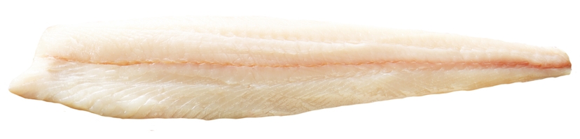 Halibut is April’s Featured Catch | Vital Choice