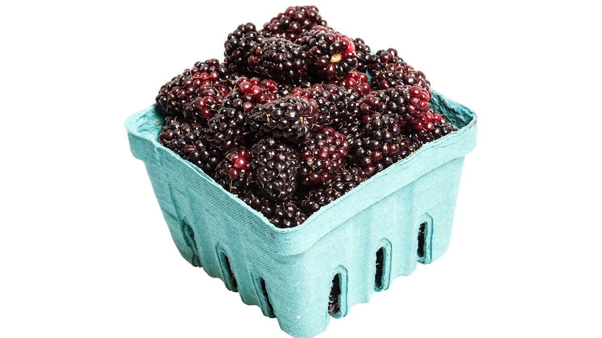 What Is a Marionberry? | The Table by Harry & David