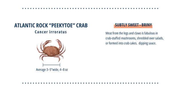 7 Types of Crab You Should Eat | Vital Choice