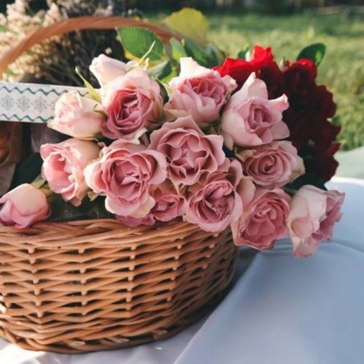 Why We Love Cottagecore Flowers | Petal Talk