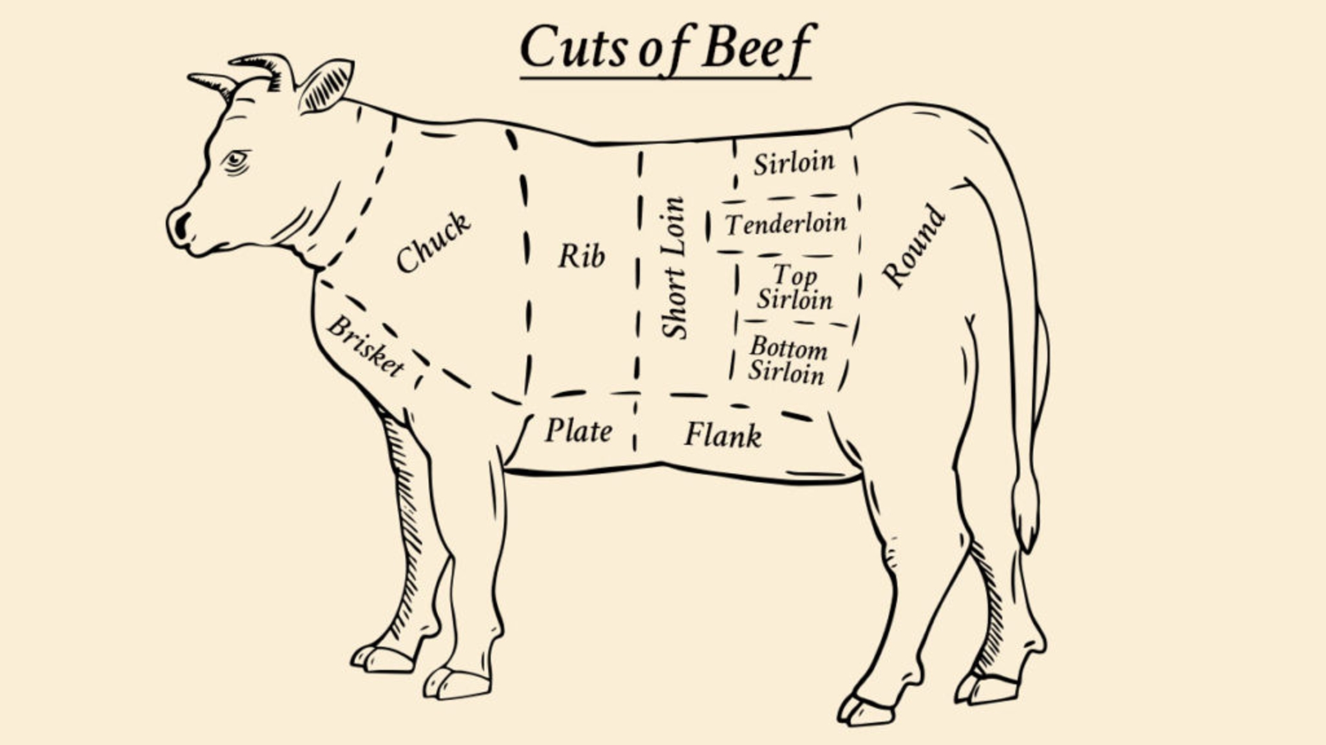 Beef Terms: A Glossary | VitalChoice Blog