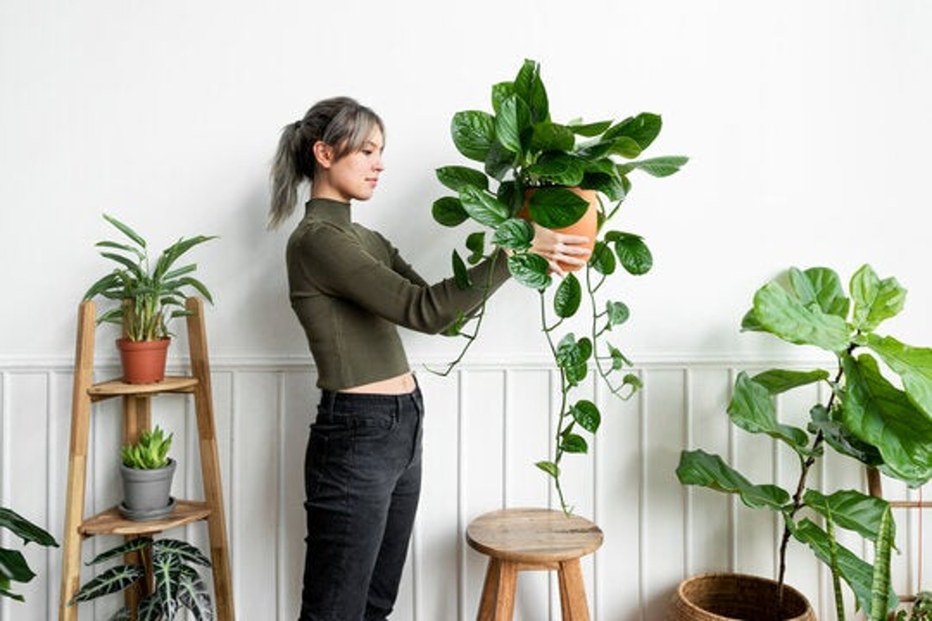 Winterizing your Plant Care | Petal Talk