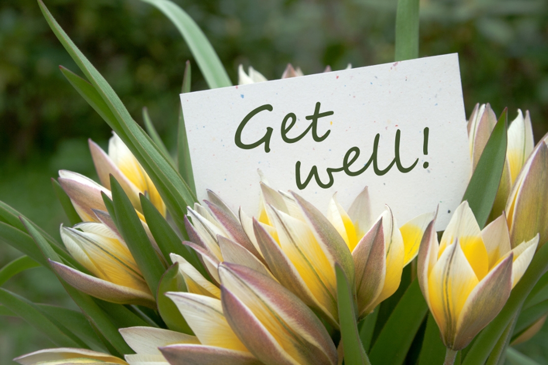 50+ Get Well Soon Messages & Quote Ideas for Cards | Petal Talk