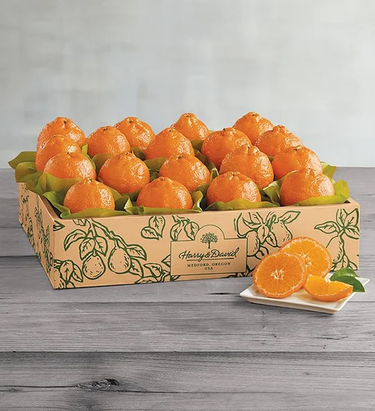 Gold Nugget Mandarin: The World’s Greatest Citrus | The Table by Harry ...