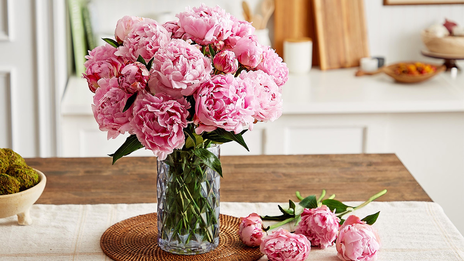 Peony Care Tips and More | Petal Talk