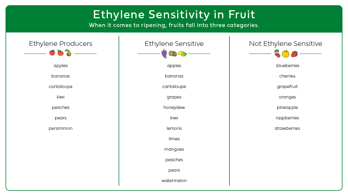 How to Keep Fruit Fresh for Longer | The Table by Harry & David