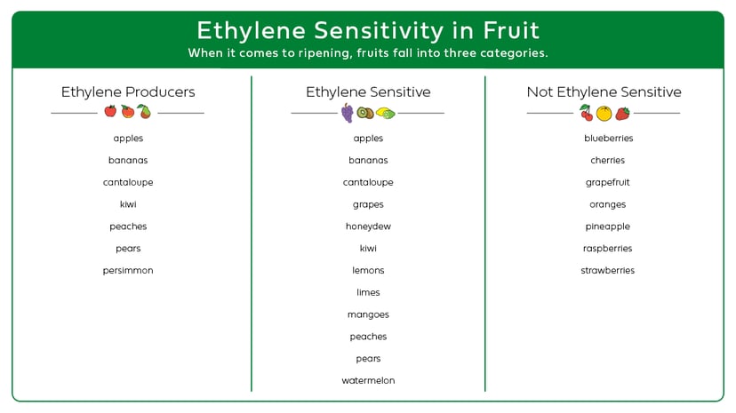 How to Keep Fruit Fresh for Longer | The Table by Harry & David