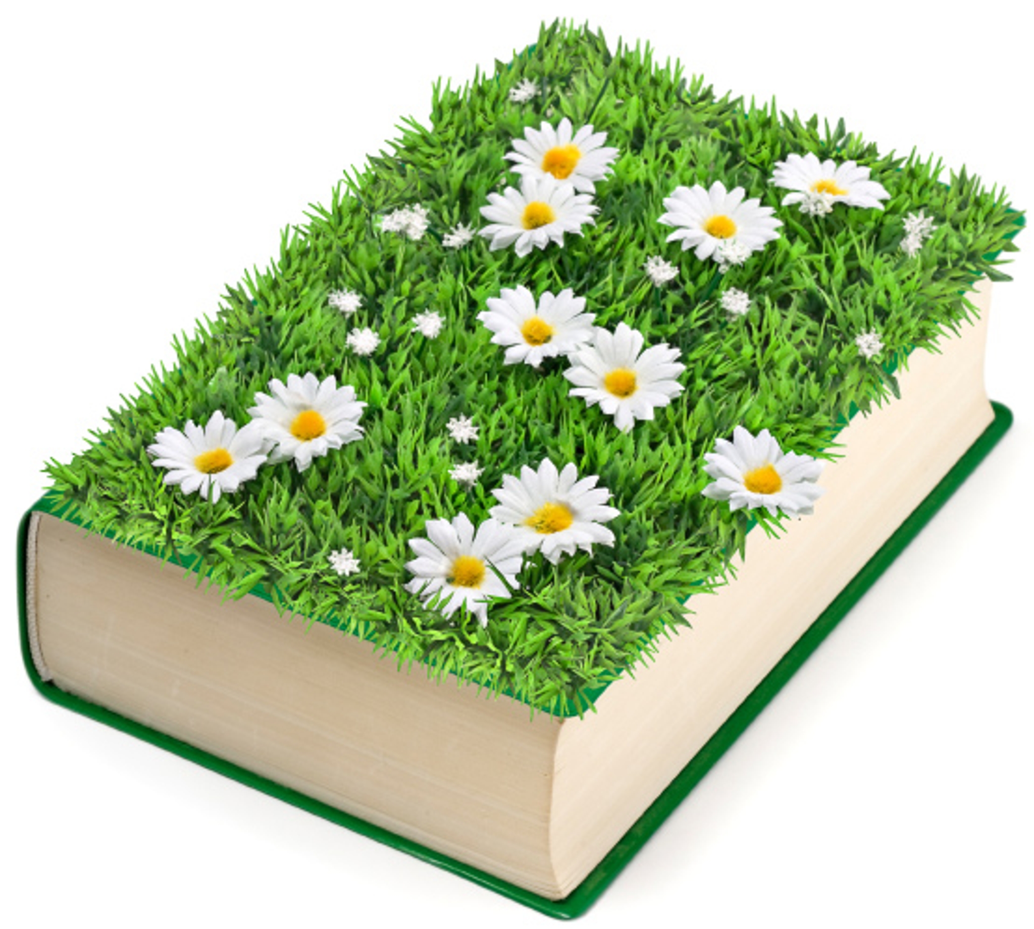 Flowers in Literature | Book with Flowers in the Title