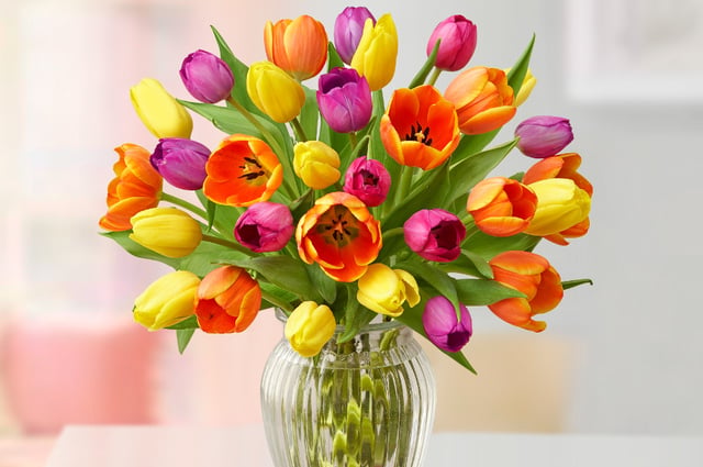 7 Awesome Flowers for Kids | Petal Talk