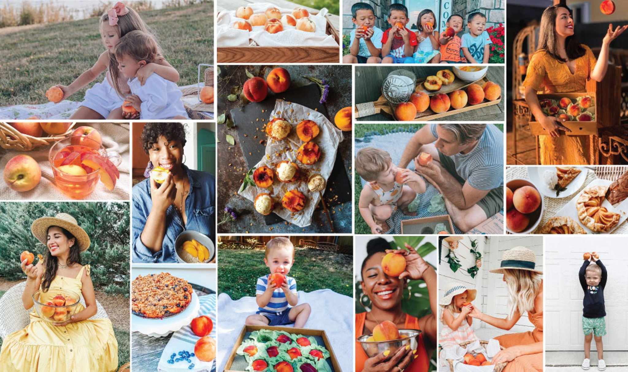 10 Facts About Peaches | The Table by Harry & David