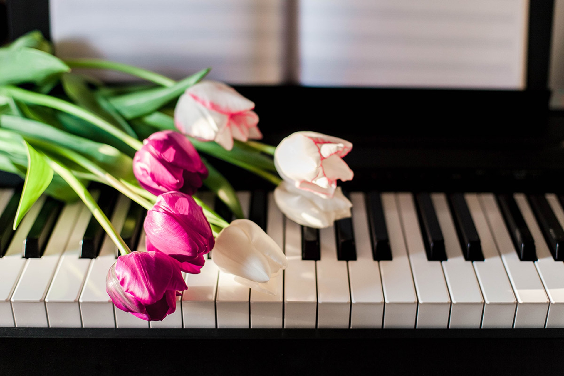 20 Best Songs About Flowers | Petal Talk