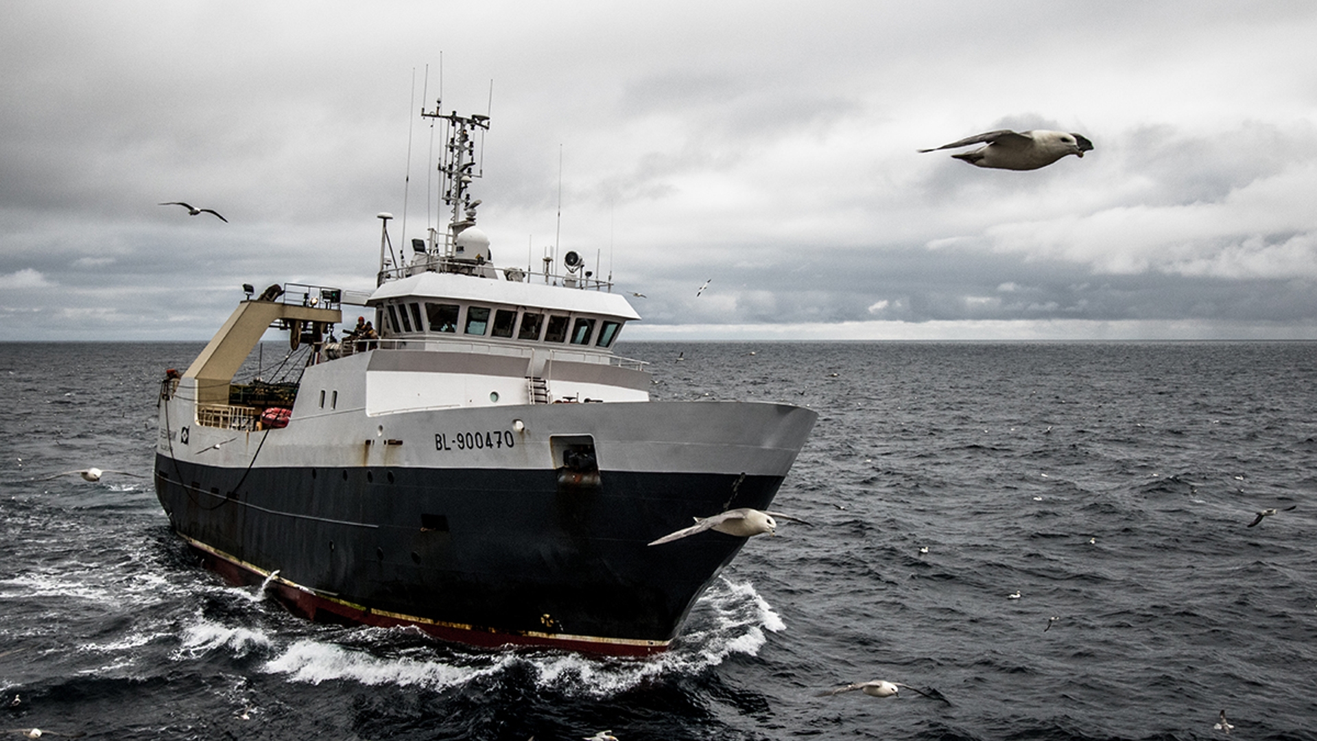 What Is the Marine Stewardship Council? | Vital Choice