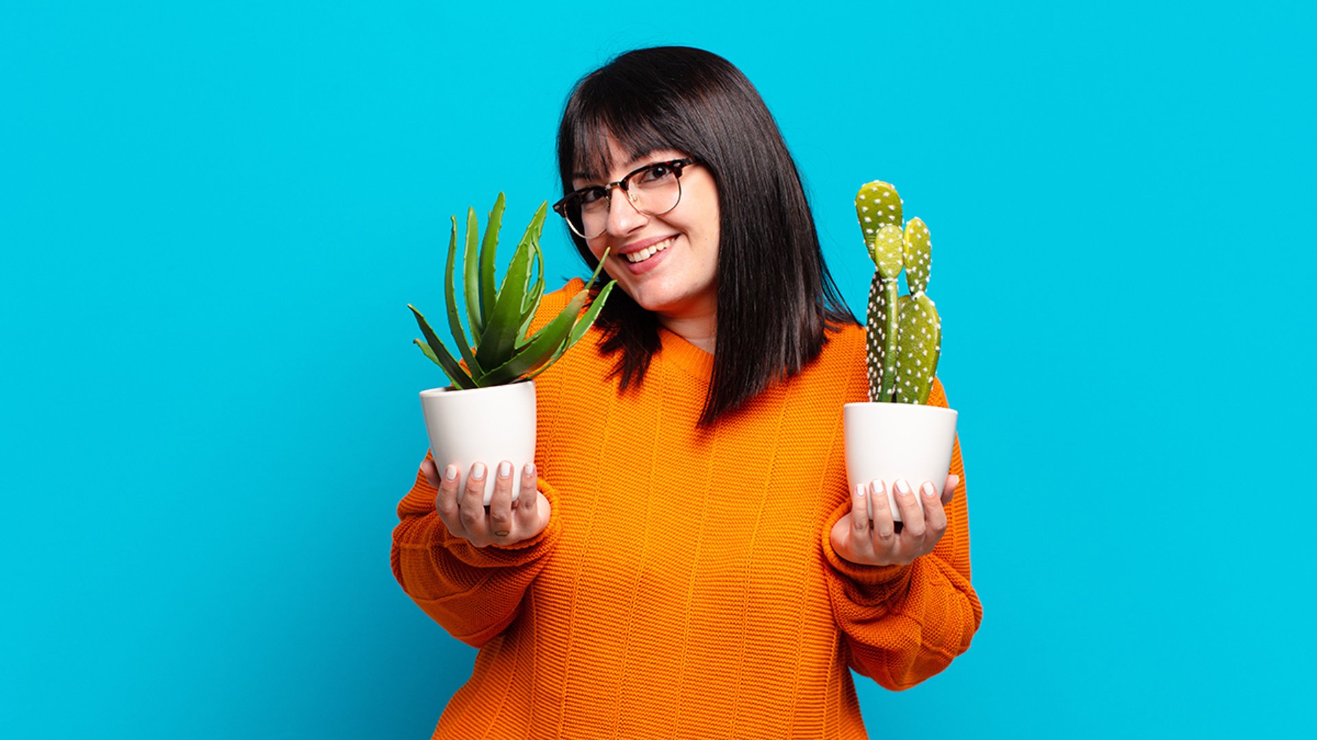 Best Zodiac Plants and Flowers | Petal Talk