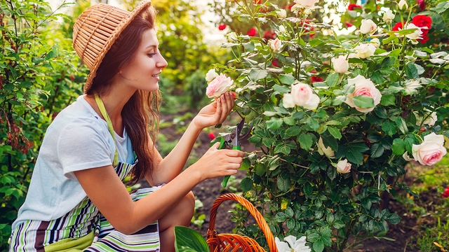 50 Gardening Quotes to Inspire You This Spring | Petal Talk
