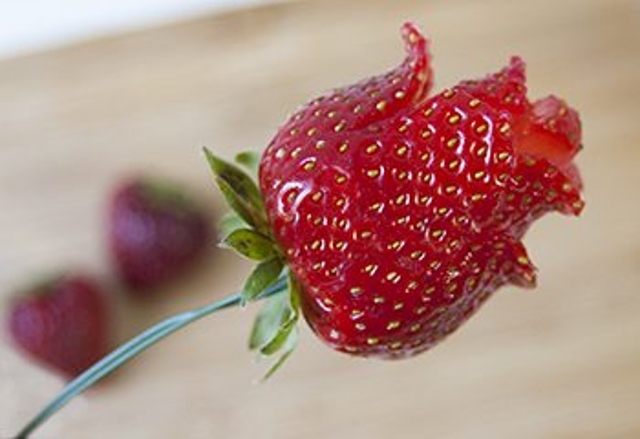 How to Make a Strawberry Rose - Shari's Berries
