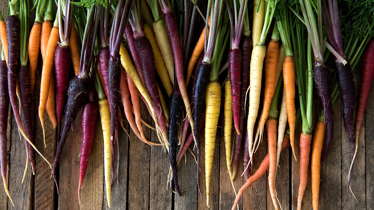 Carrots: A Magical Guide | Vital Choice Blog