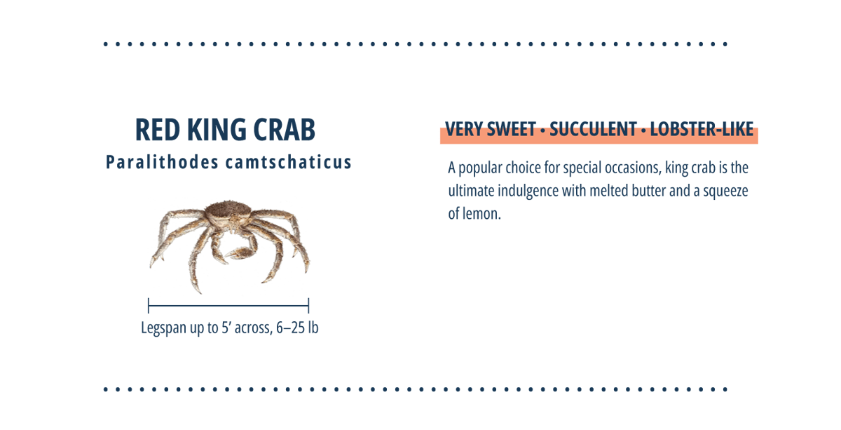 7 Types of Crab You Should Eat | Vital Choice