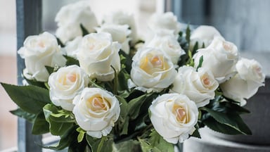 52 Rose Quotes That Will Inspire Love | Petal Talk
