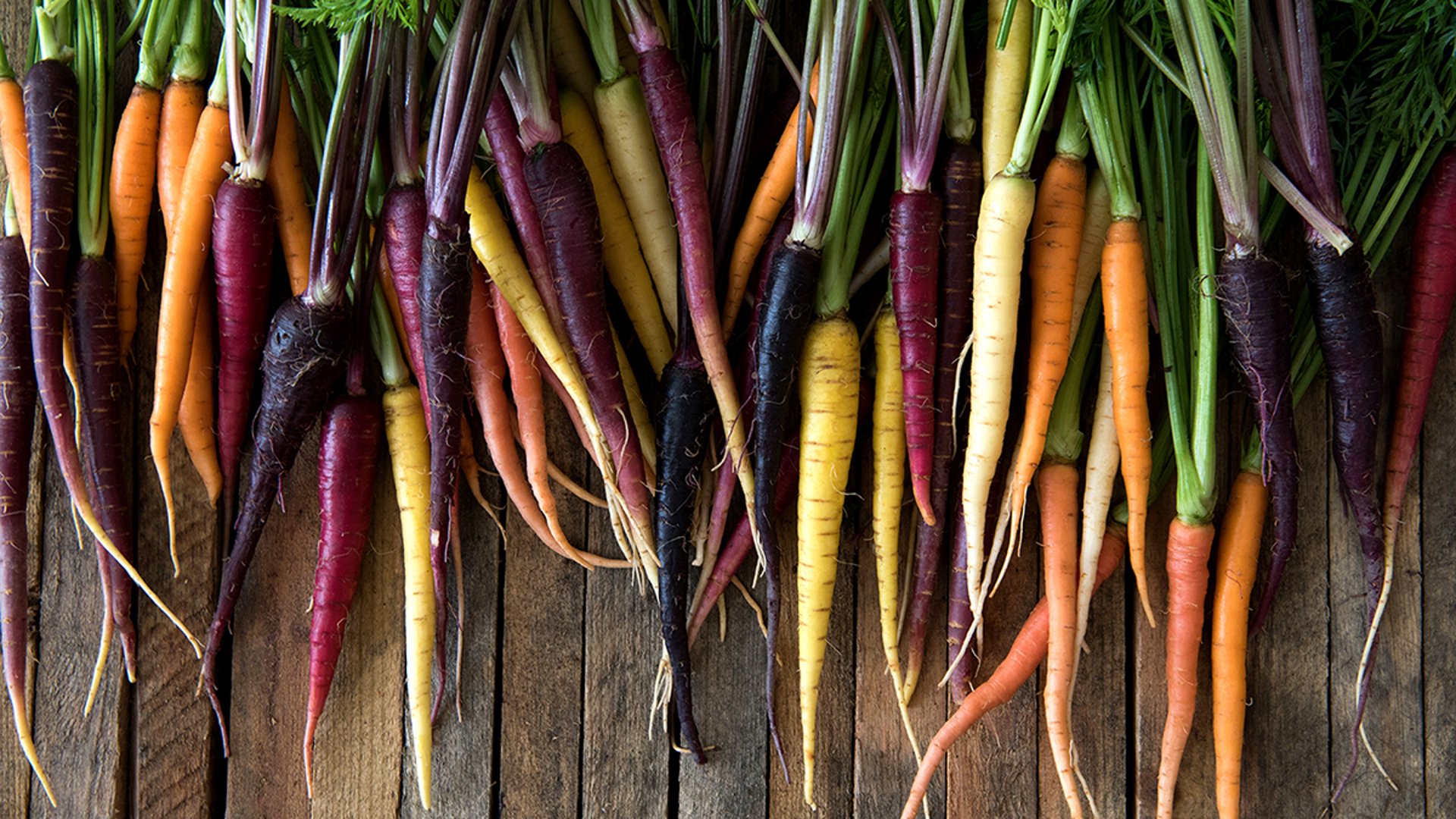 Carrots: A Magical Guide | The Table by Harry & David