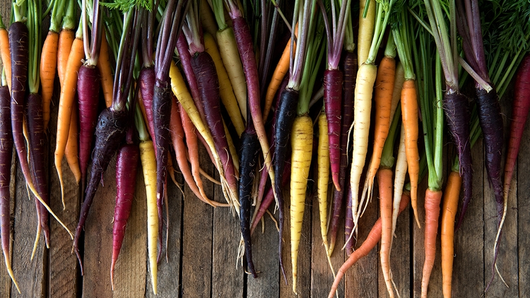 The Origin and History of Carrots | The Table by Harry & David