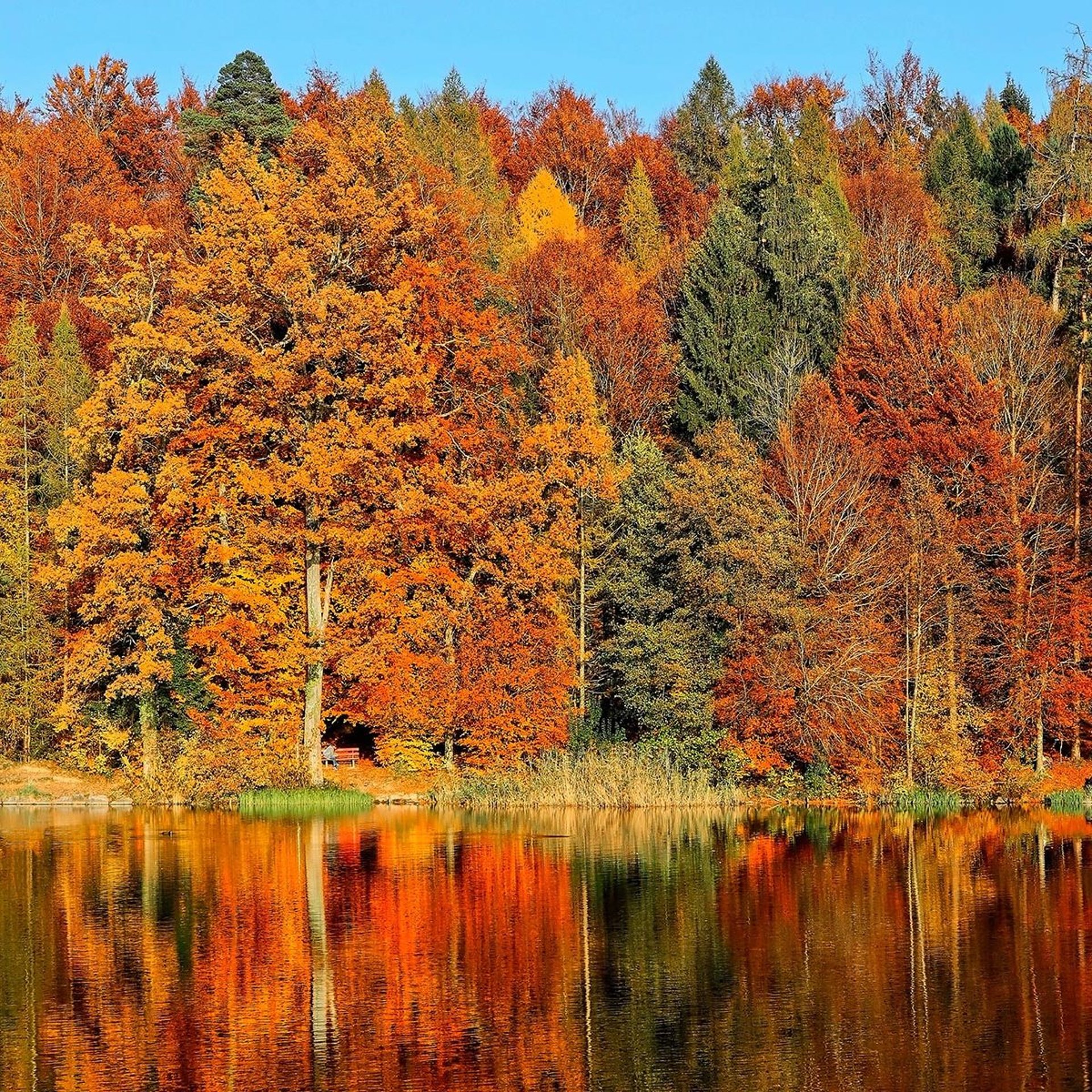 10 Must-do Fall Activities | Petal Talk