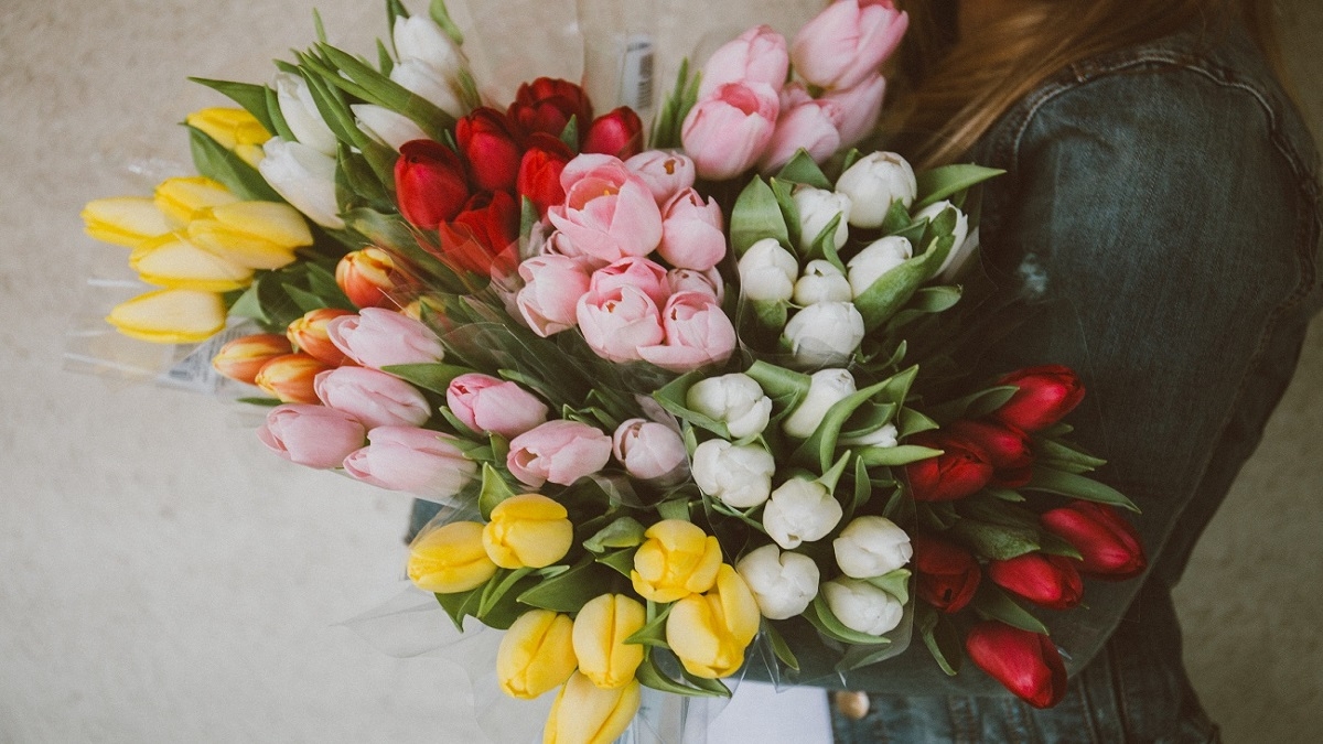 Tulip Care Tips and Tricks From an Expert | Petal Talk
