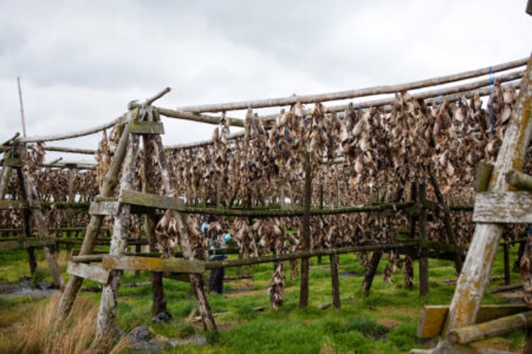 Icelandic Seafood History | Vital Choice