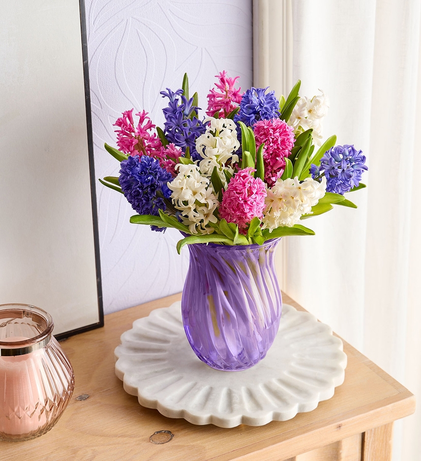 Hyacinth Symbolism, Origins, and Meaning | Petal Talk