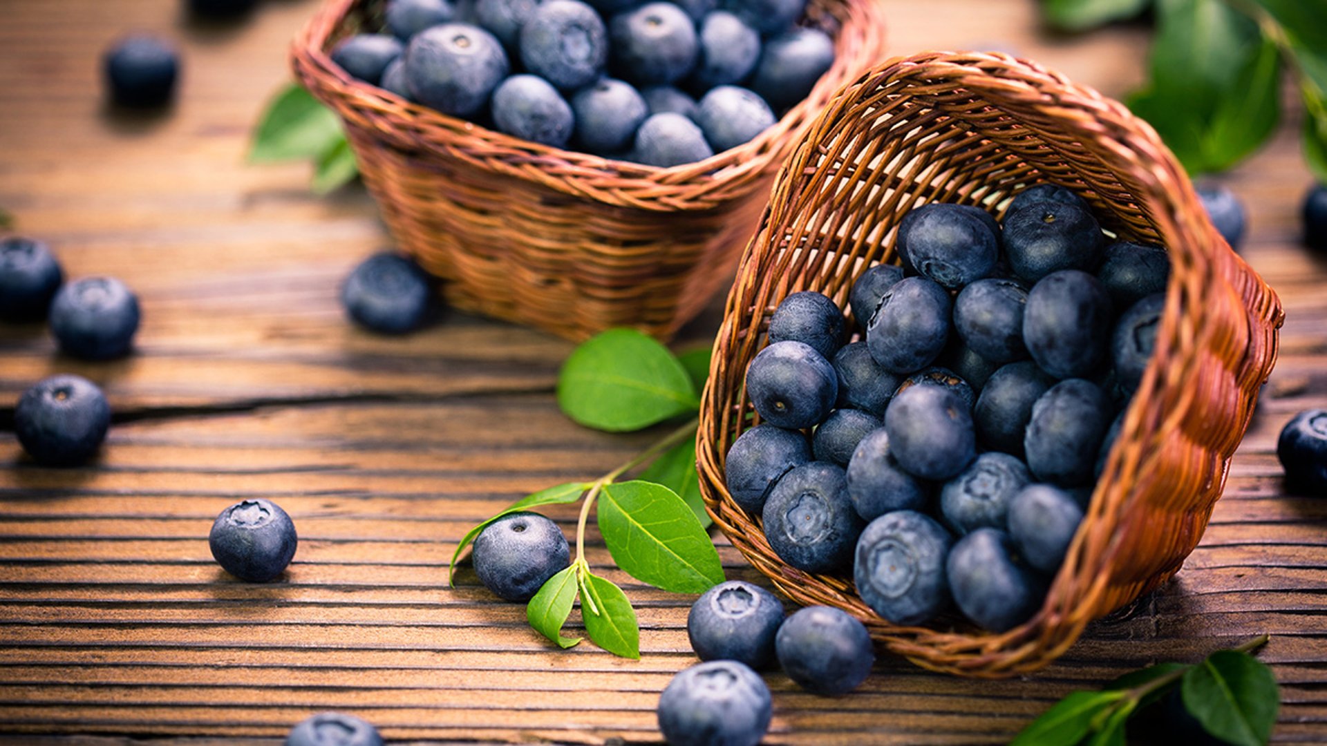 5 Facts About Blueberries | The Table by Harry & David