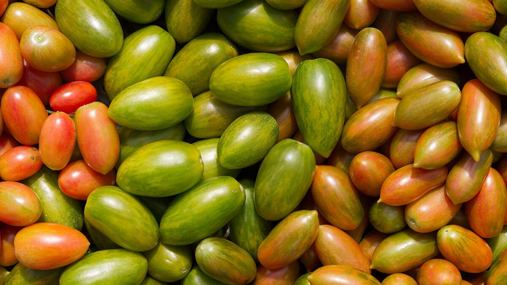 Tomatoes: A Juicy Guide | Vital Choice