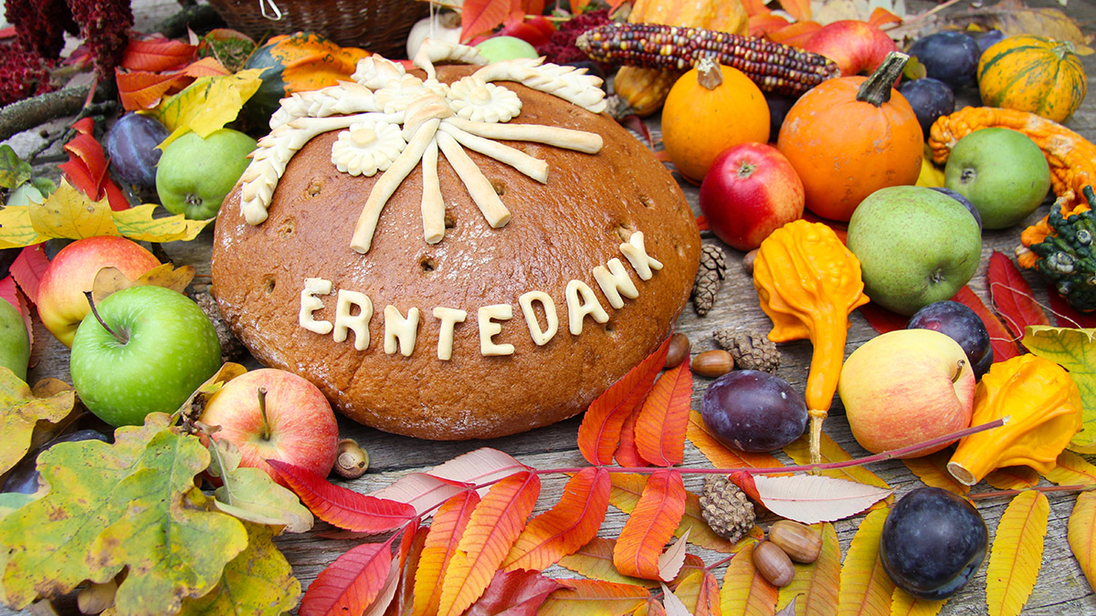 Thanksgiving Around the World | Petal Talk