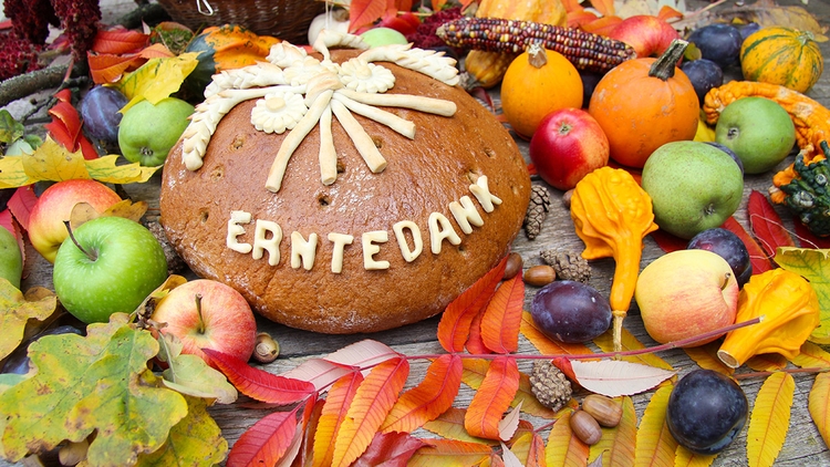 Thanksgiving Around the World | Petal Talk