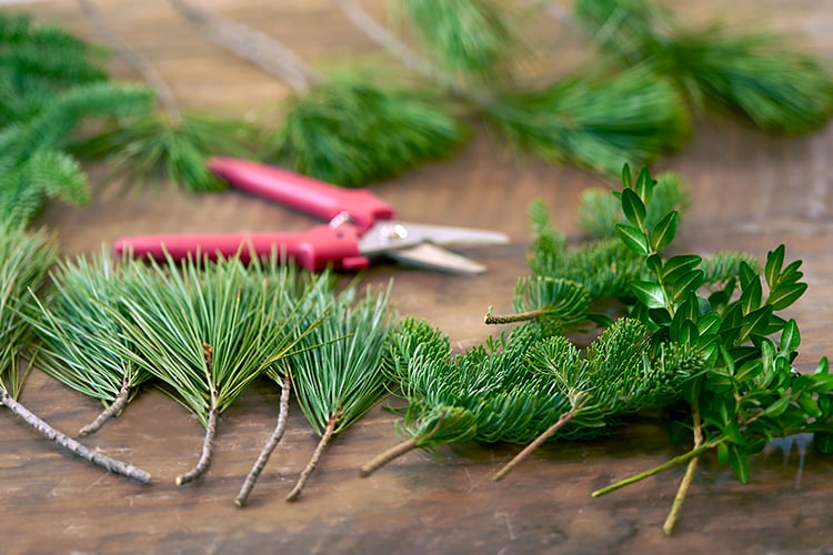 DIY Flower Tree for Christmas | Petal Talk