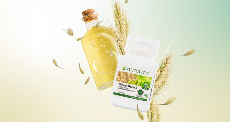 Manfaat Wheat Germ (Minyak Biji Gandum)