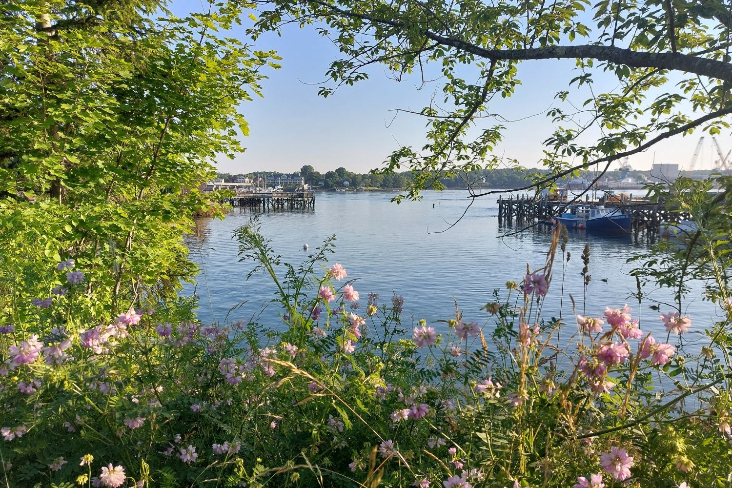 A view from Brussels: IAPP Leadership Retreat; advancements in DMA enforcement, EU-U.S. access ...