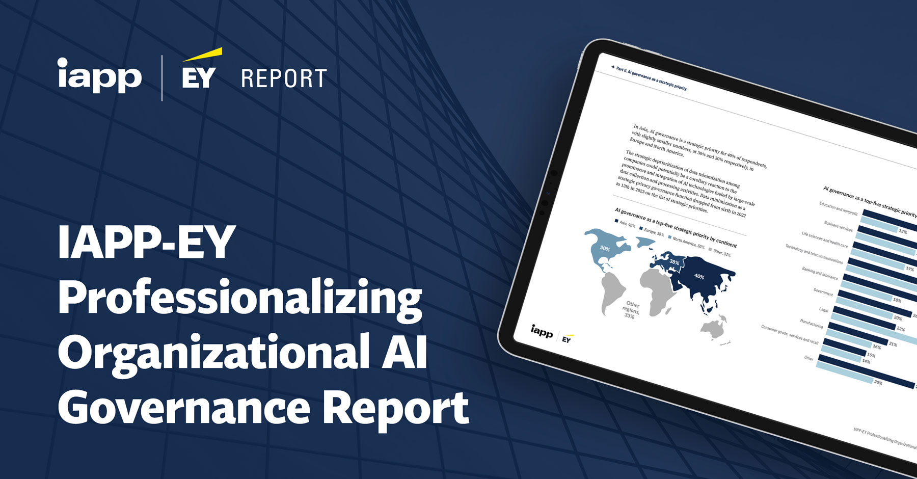 Professionalizing Organizational AI Governance Report | IAPP
