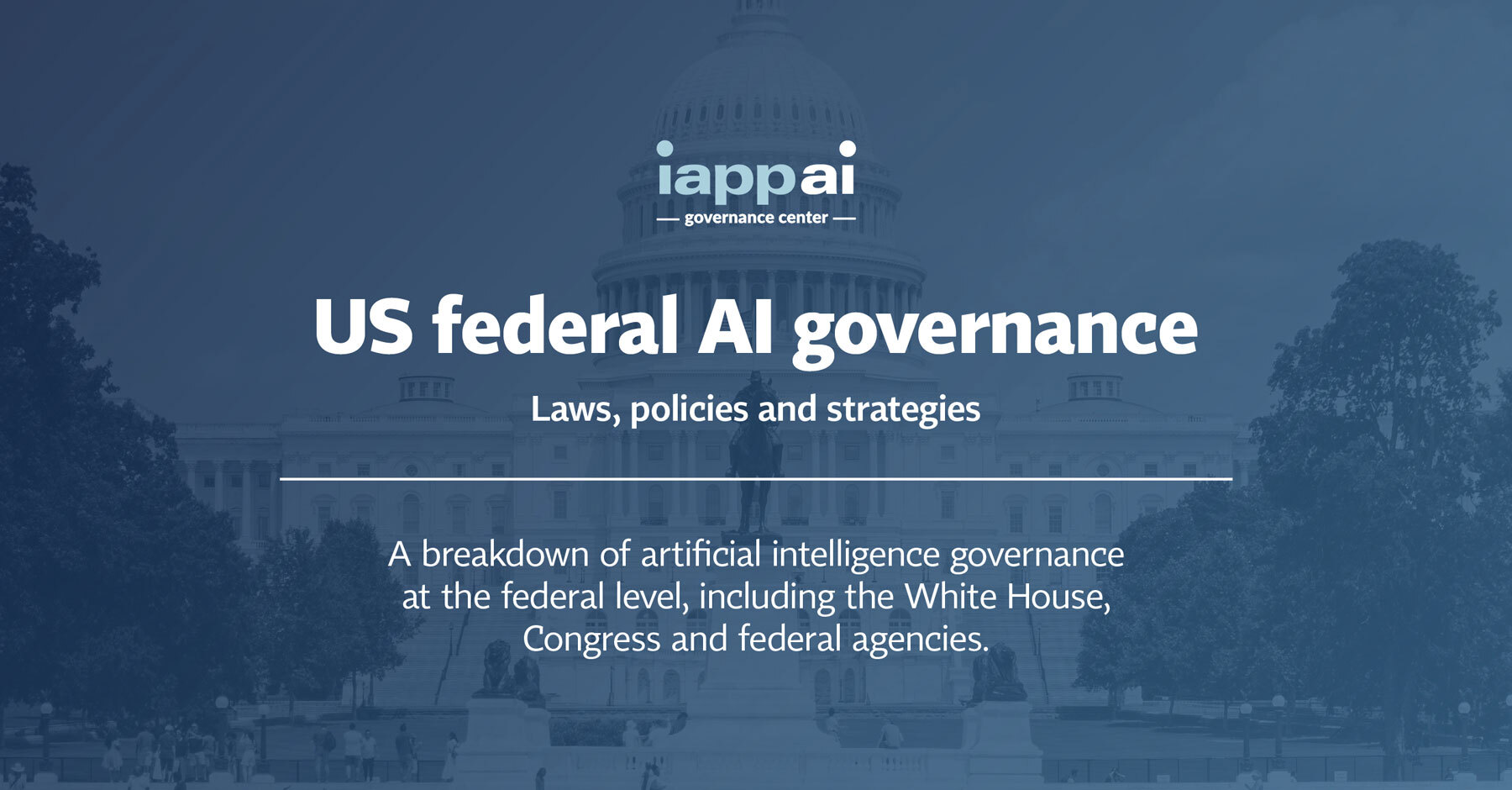 US federal AI governance: Laws, policies and strategies | IAPP